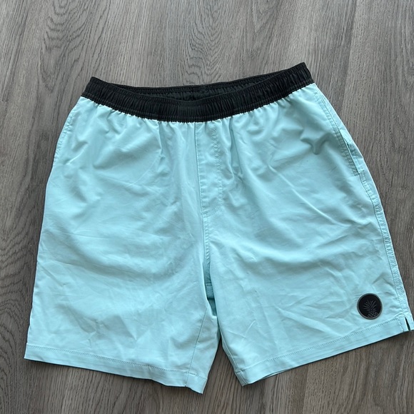 chubbies | Shorts | Chubbies Pool Shorts | Poshmark